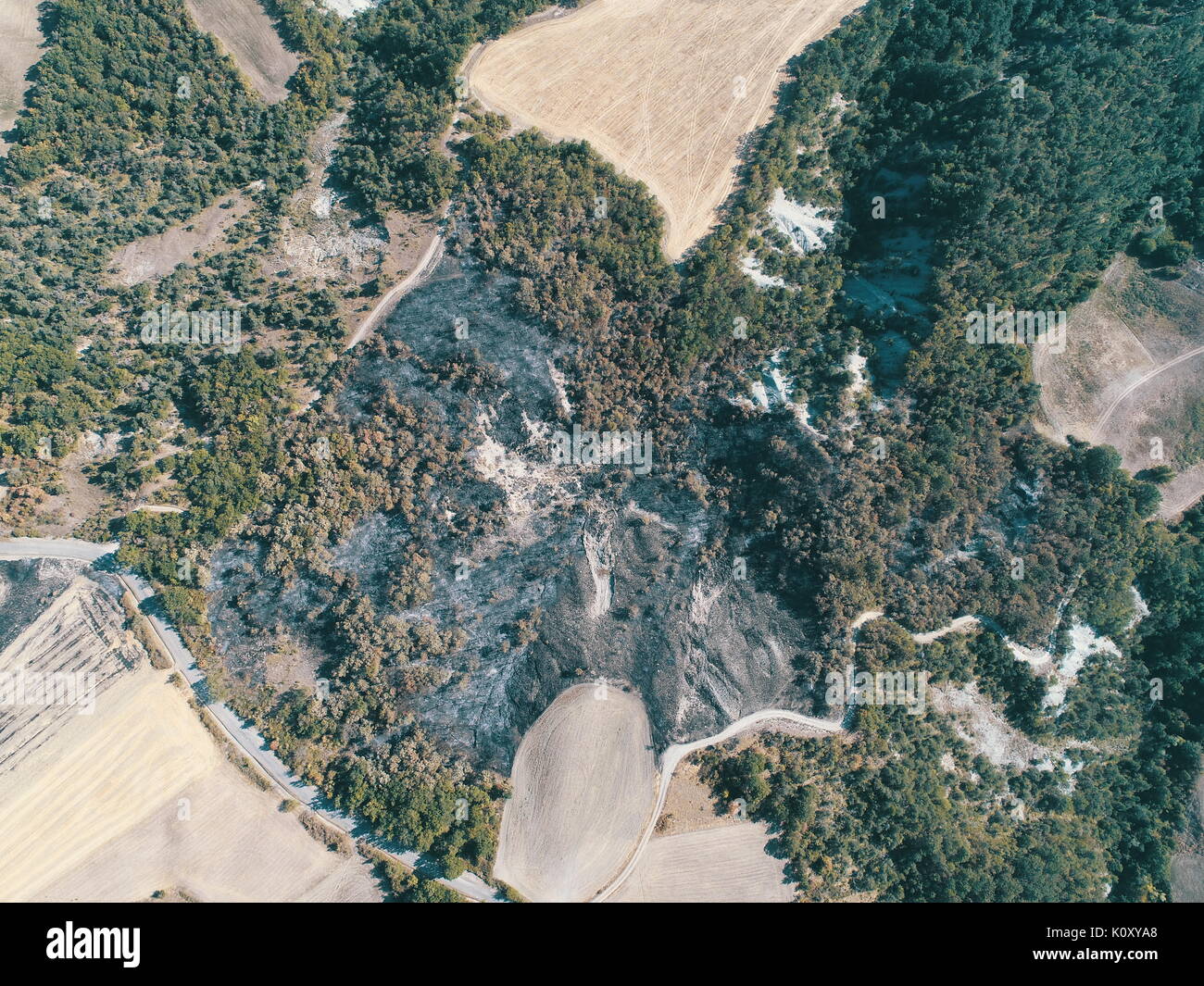 Arson:,Burnt ground due to forest fire damage, Burnt field in Reggio ...