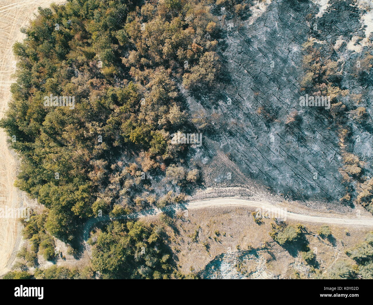 Vedriano hi-res stock photography and images - Alamy