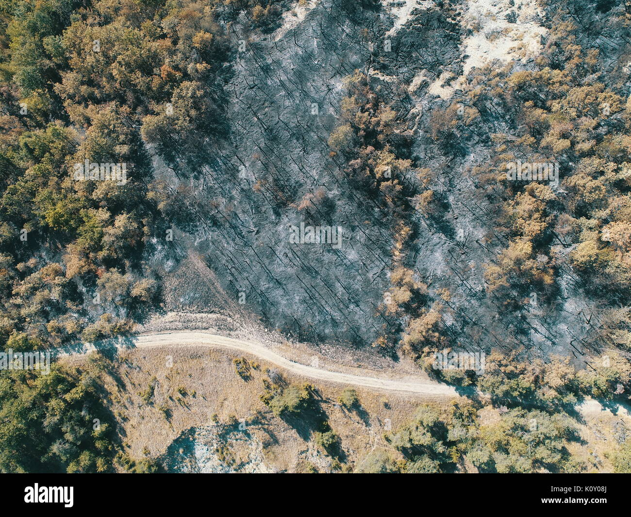 Arson:,Burnt ground due to forest fire damage, Burnt field in Reggio ...