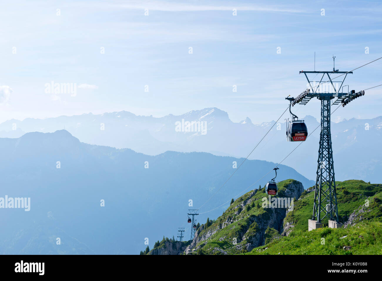 Leysin *** Local Caption *** Leysin, Switzerland, meadow, Canton Vaud ...