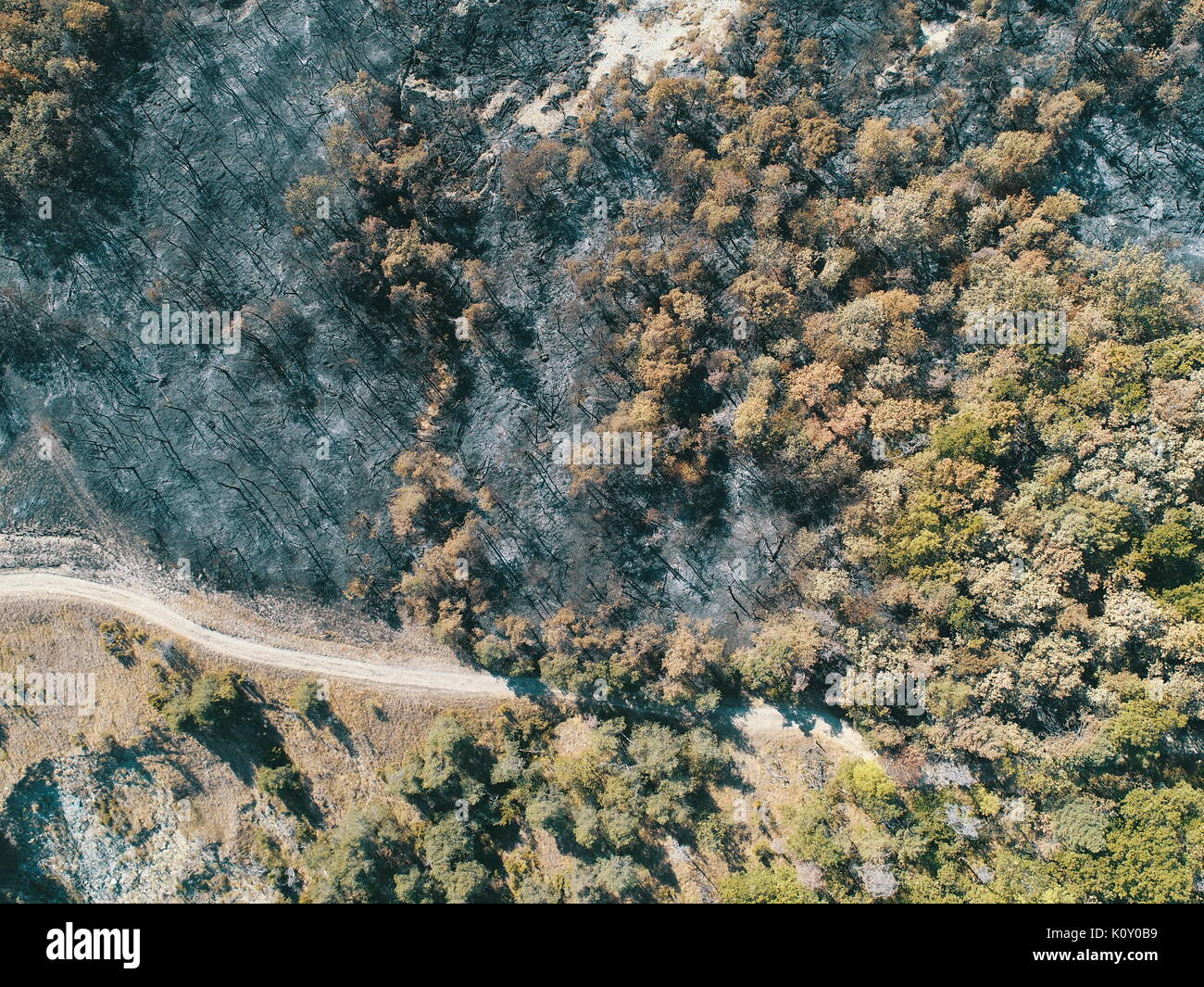 Arson:,Burnt ground due to forest fire damage, Burnt field in Reggio ...