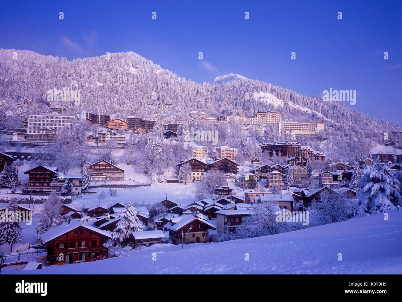 Leysin switzerland hi-res stock photography and images - Alamy