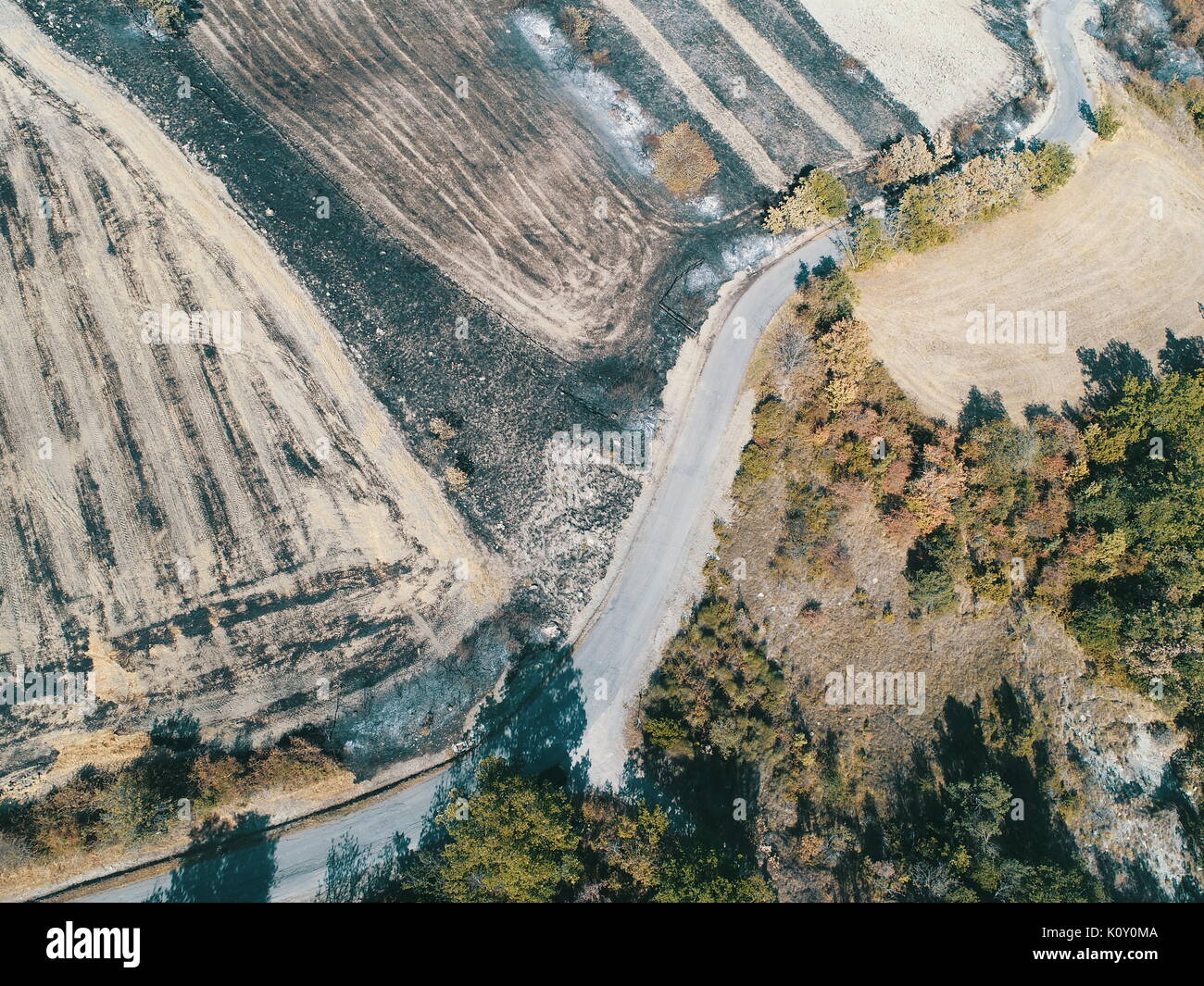 Arson:,Burnt ground due to forest fire damage, Burnt field in Reggio ...