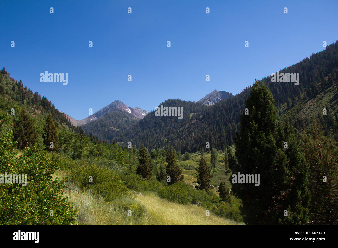 Landscape photo of Mineral King Valley, Sequoia National Park Stock ...