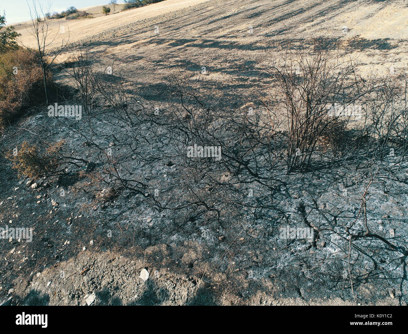 Burnt field hi-res stock photography and images - Alamy