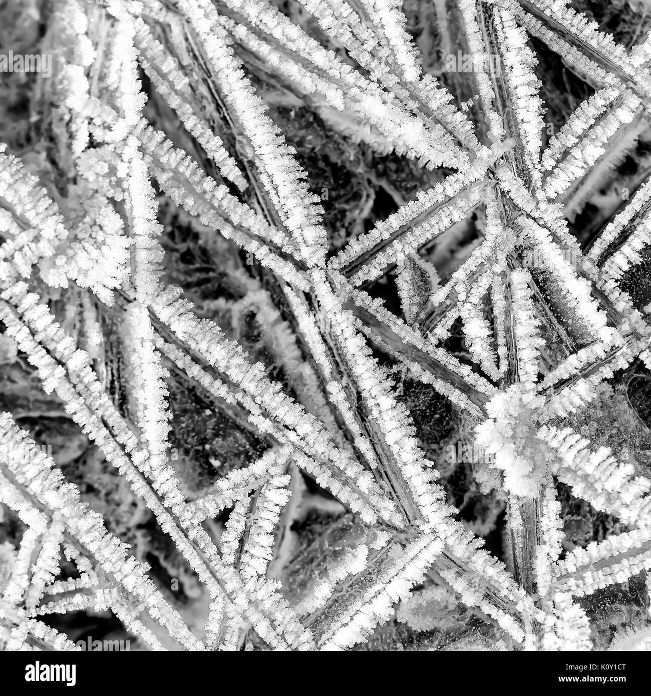 Frozen ice texture on the Dnieper river in Kiev, Ukraine, during winter ...