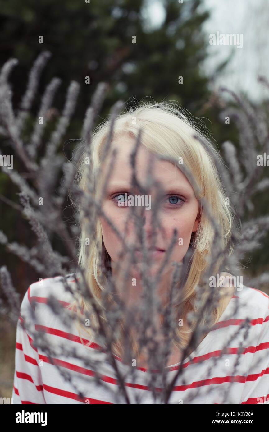 Hide behind branches hi-res stock photography and images - Alamy