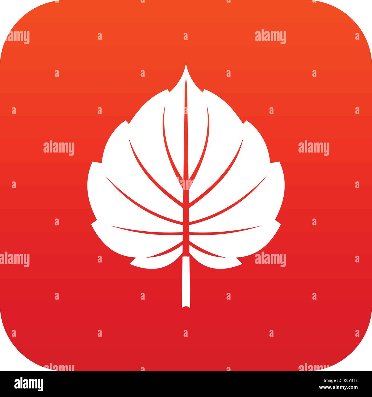 Red alder tree Stock Vector Images - Alamy