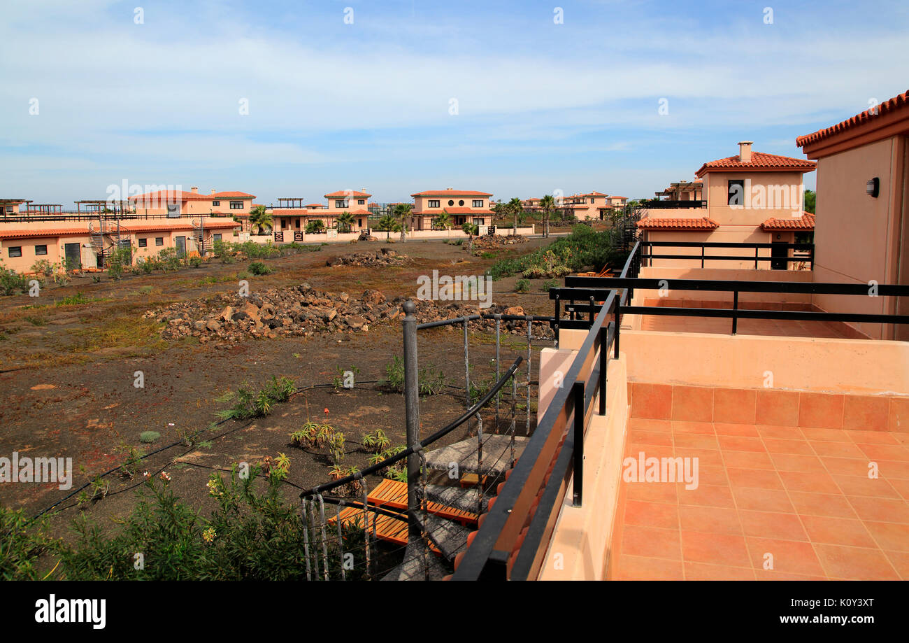 Origo mare hi-res stock photography and images - Alamy