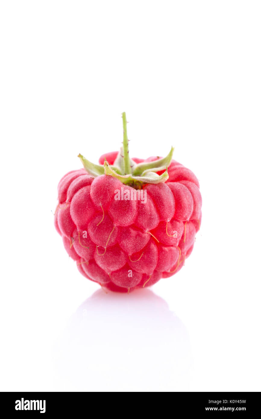 close up one raspberry isolated on white background Stock Photo - Alamy
