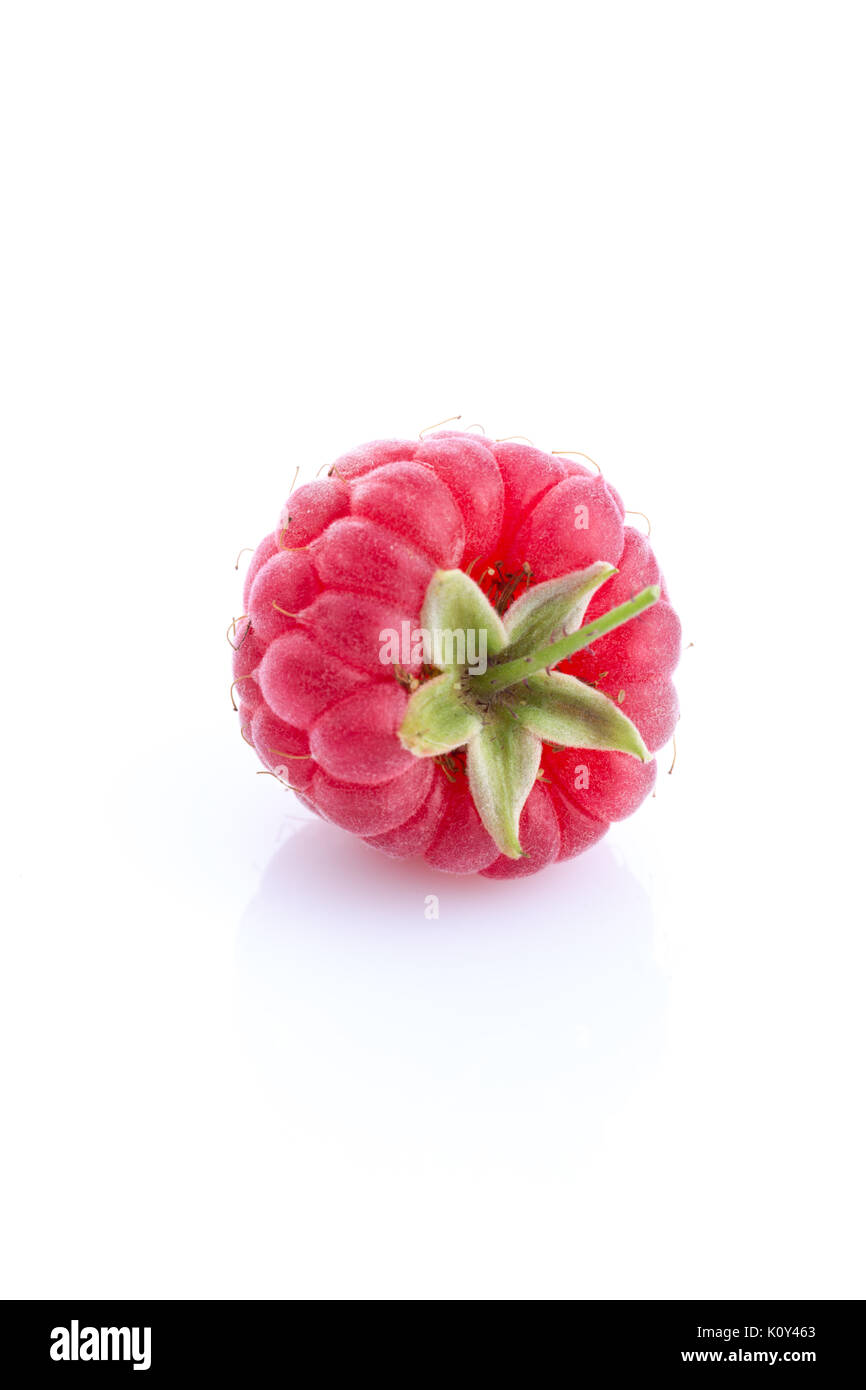 single raspberry isolated on white background Stock Photo - Alamy