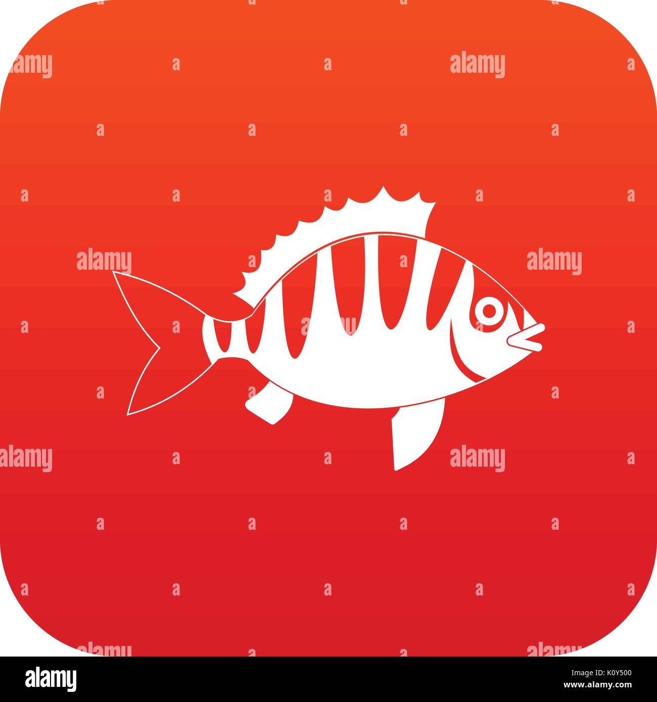 Striped sea perch Stock Vector Images - Alamy