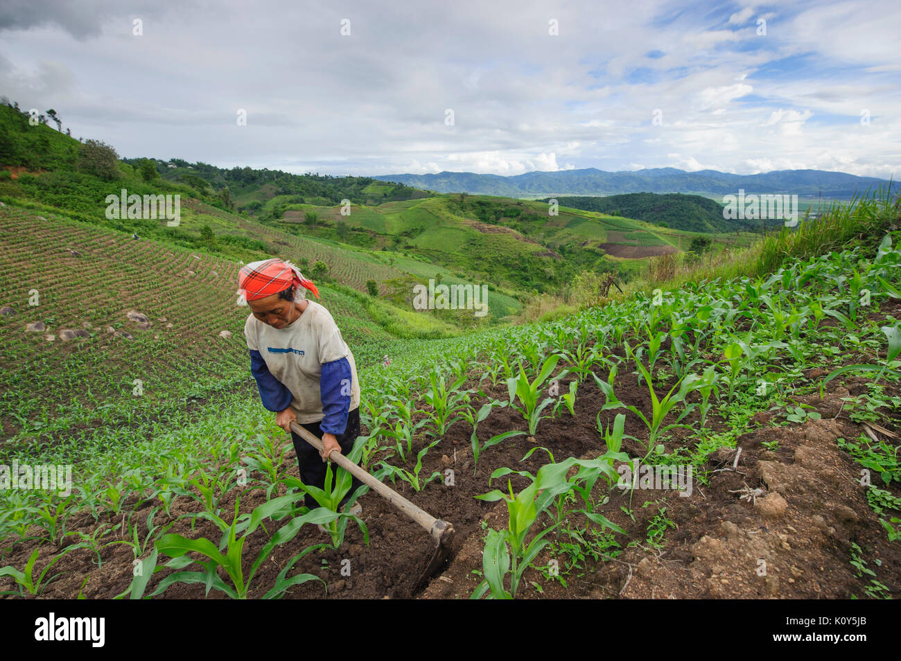 Chinese farmers of Southern Yunnan. China Stock Photo - Alamy