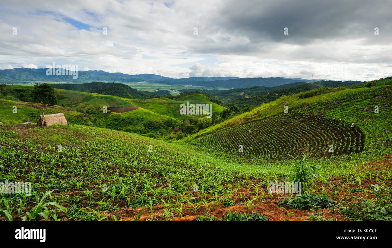 Chinese farmers of Southern Yunnan. China Stock Photo - Alamy