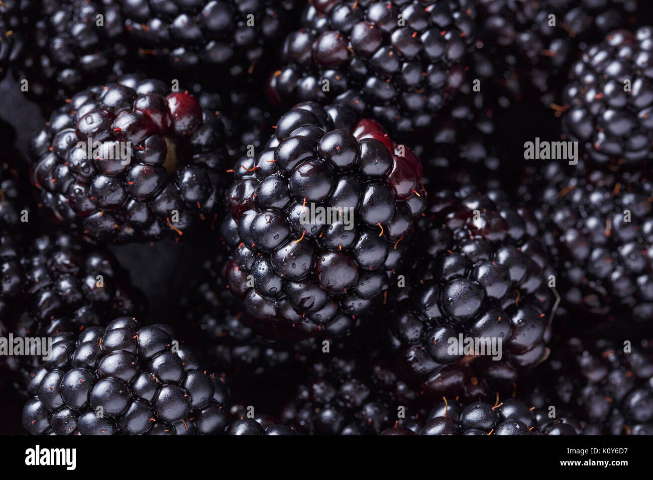 close up fresh ripe blackberry background Stock Photo - Alamy