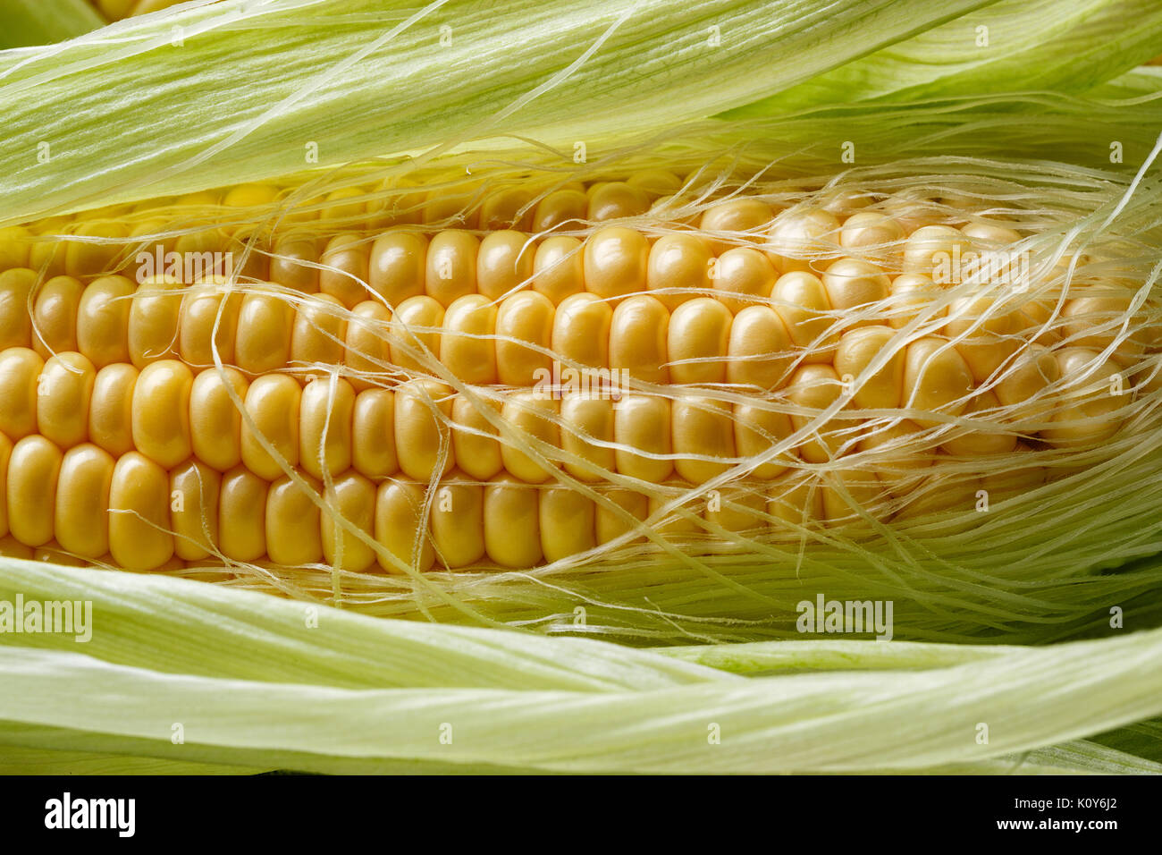 Golden corn hi-res stock photography and images - Alamy