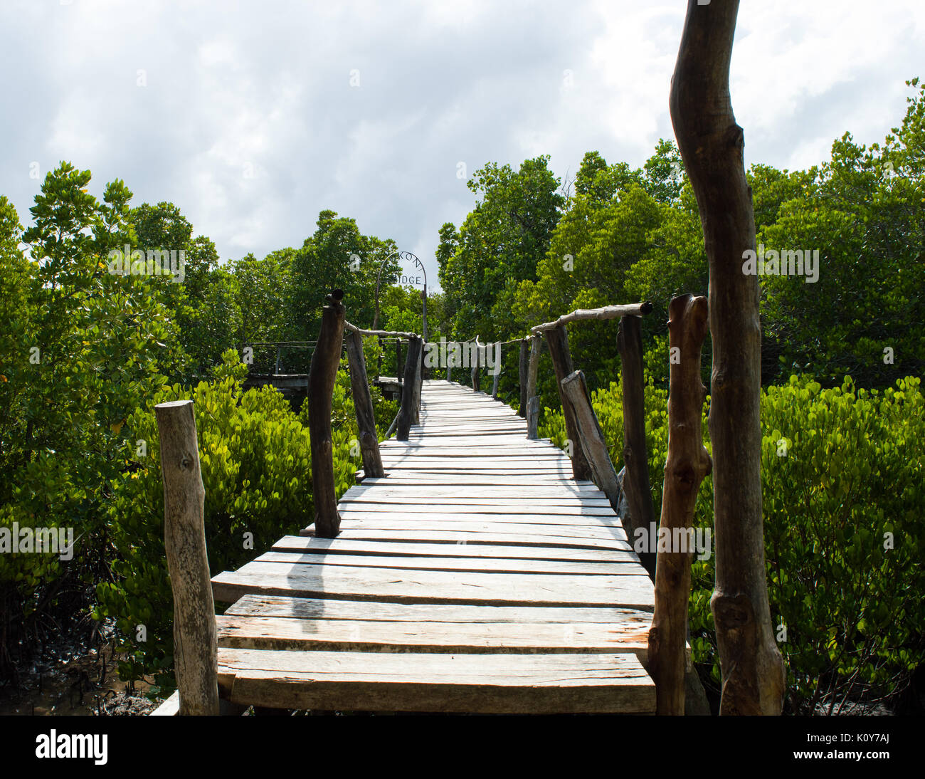 Broad walk hi-res stock photography and images - Alamy