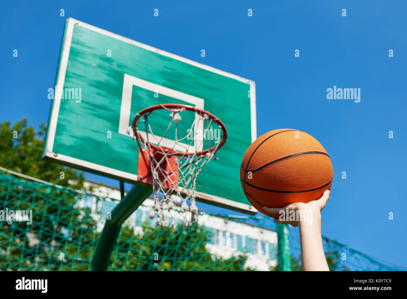 Hand with a basketball on the background of a shield with a basket ...