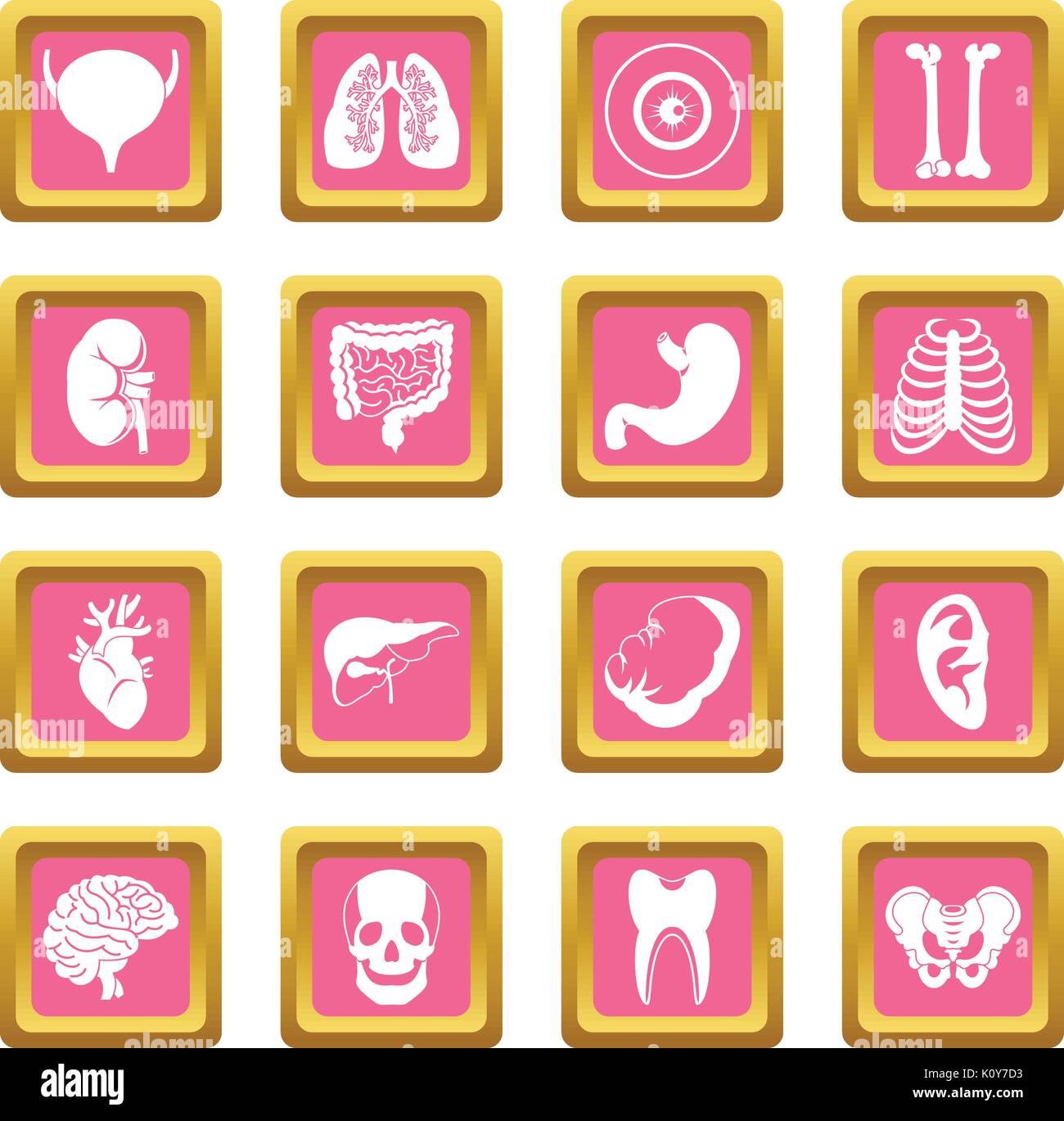 Human organs icons pink Stock Vector Image & Art - Alamy
