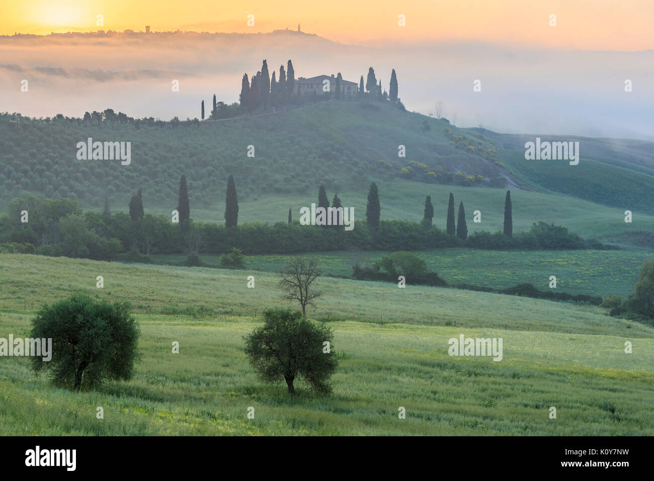 Podere belvedere hi-res stock photography and images - Alamy