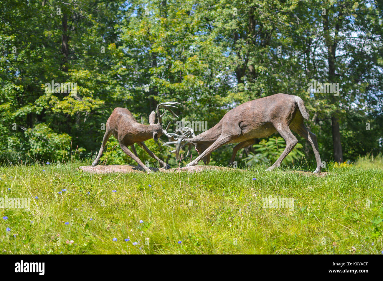 August in toronto park hi-res stock photography and images - Alamy
