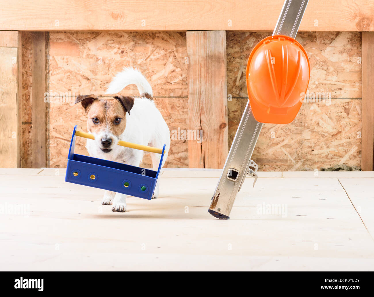 Funny construction hi-res stock photography and images - Alamy