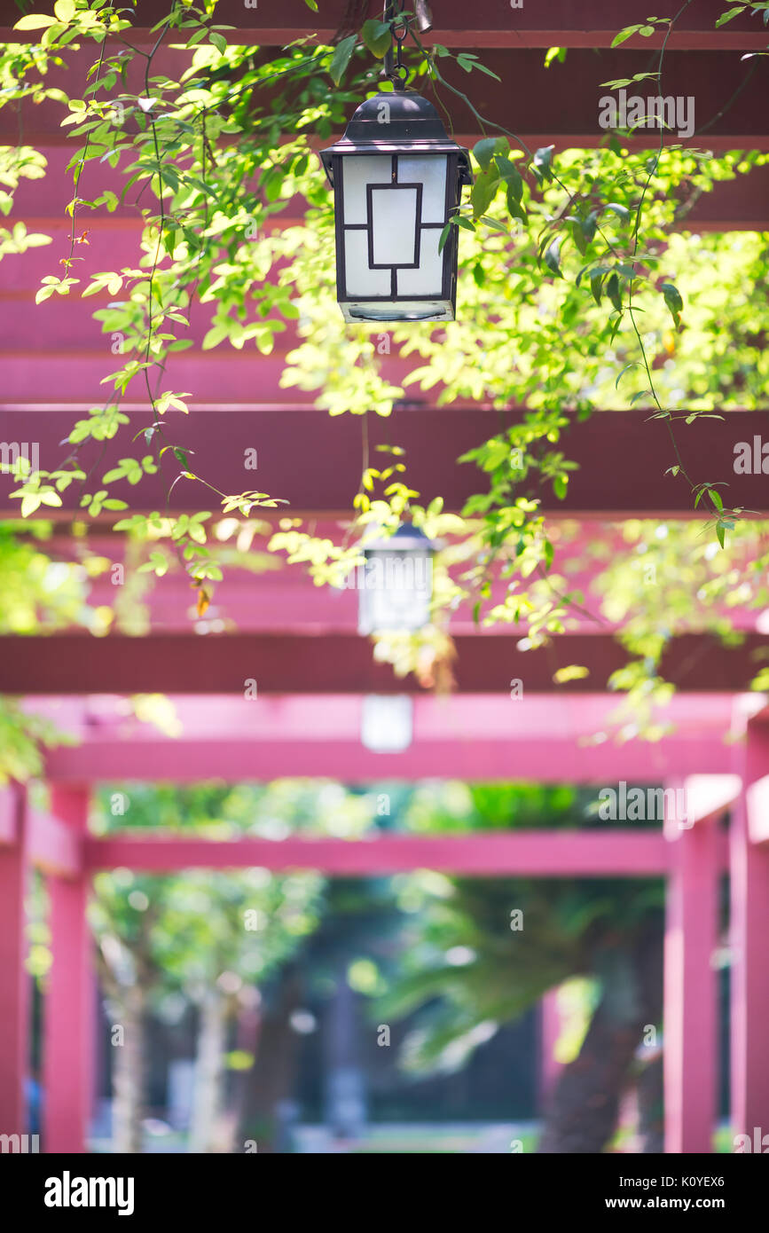 Vegetation in pathway hi-res stock photography and images - Alamy