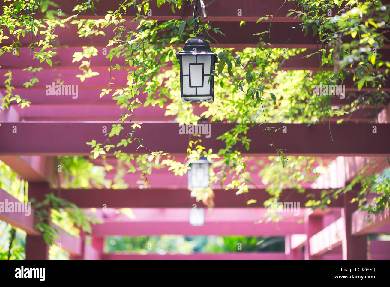 Green lantern hi-res stock photography and images - Alamy