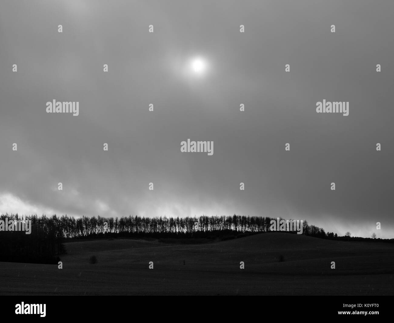 Moody sun in cloudy sky above tree-lined Cheviot hills ridge, Bowmont ...