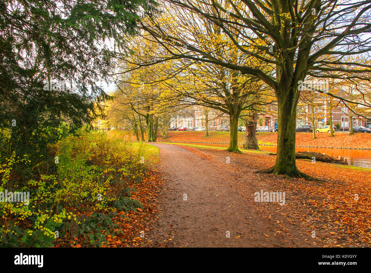 Path in fall park Stock Photo - Alamy
