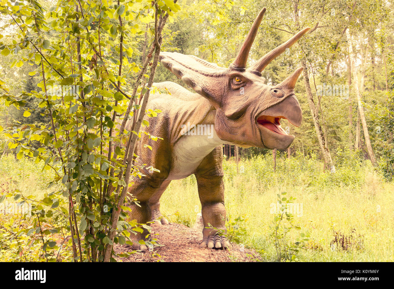 Statue of Triceratops dinosaur in a green forest Stock Photo - Alamy