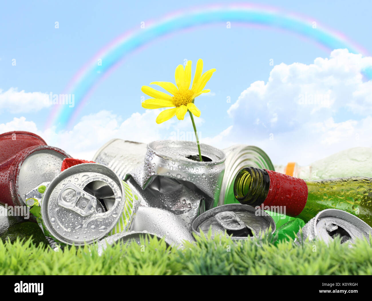 Garbage with growing daisy under rainbow Stock Photo - Alamy