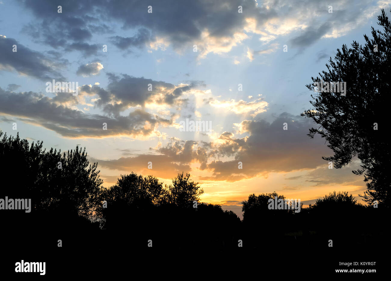 Beautiful sunset sunny summer sunrays hi-res stock photography and ...