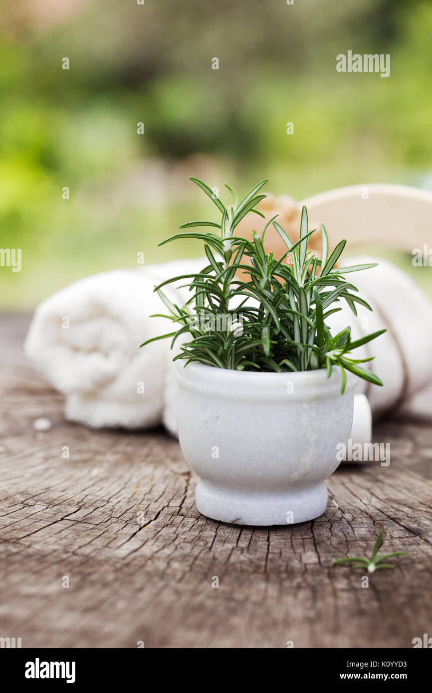 Spa and wellness setting with rosemary and towel. Natural spa setting ...