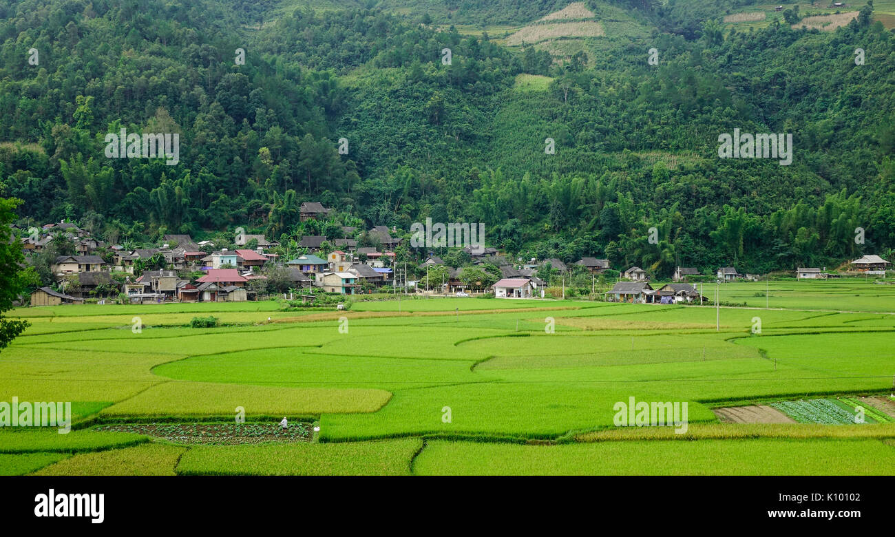 Landscape of terraced rice fields with Hmong village in Northern ...