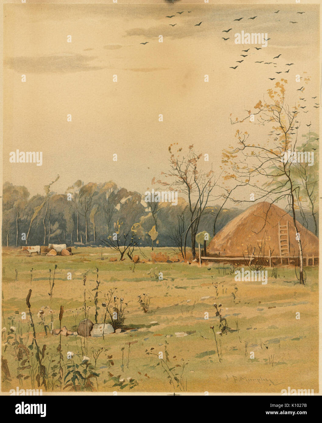 Autumn landscape with large haystack (Boston Public Library Stock Photo ...