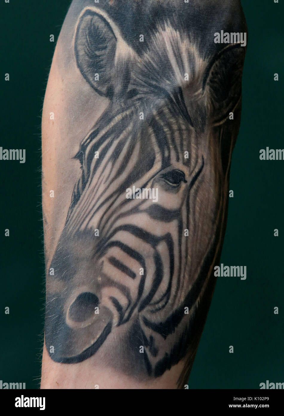 Blair Drummond Safari Park keeper Graeme Alexander, shows his tattoo of ...