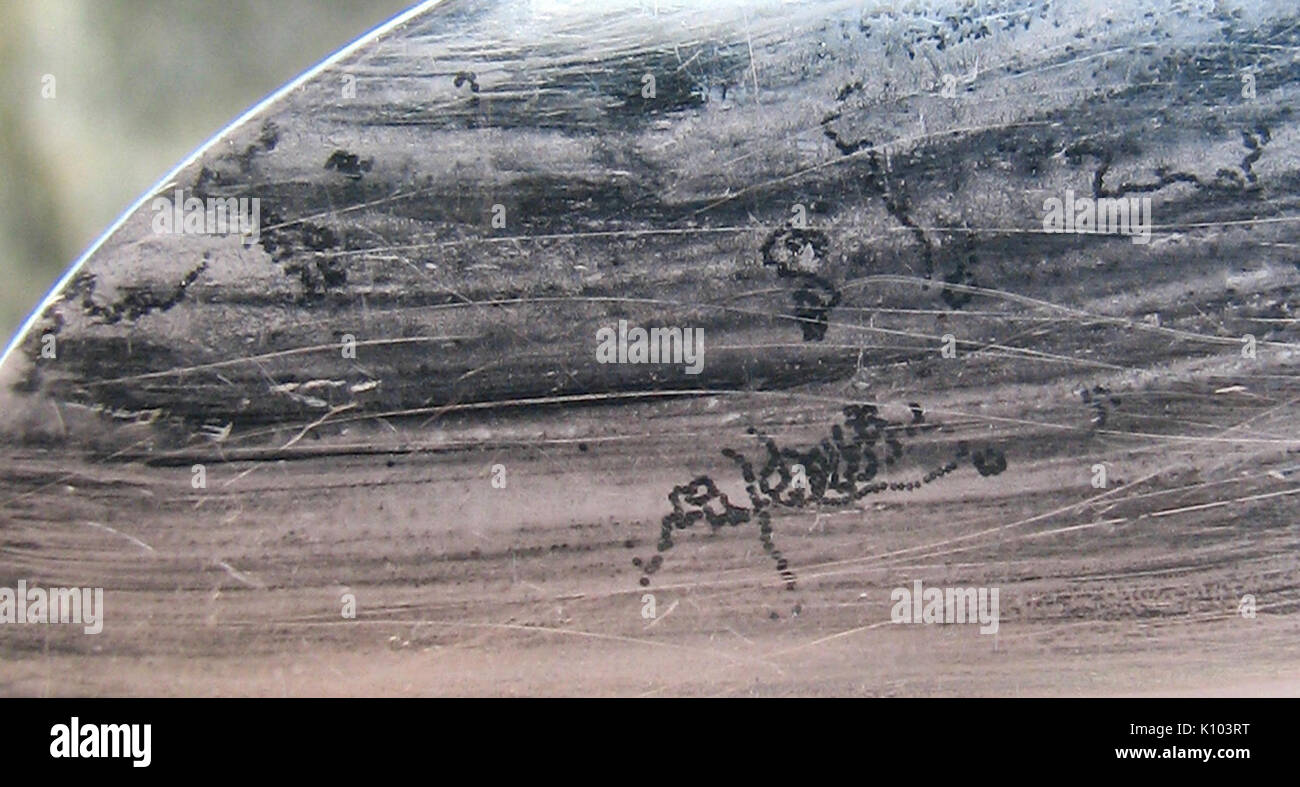 Ant movement study hi-res stock photography and images - Alamy