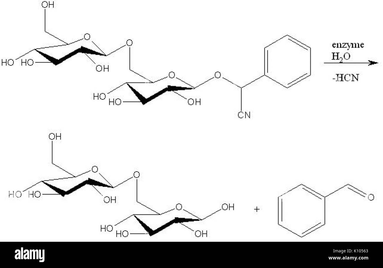 Hydrolysis hi-res stock photography and images - Alamy