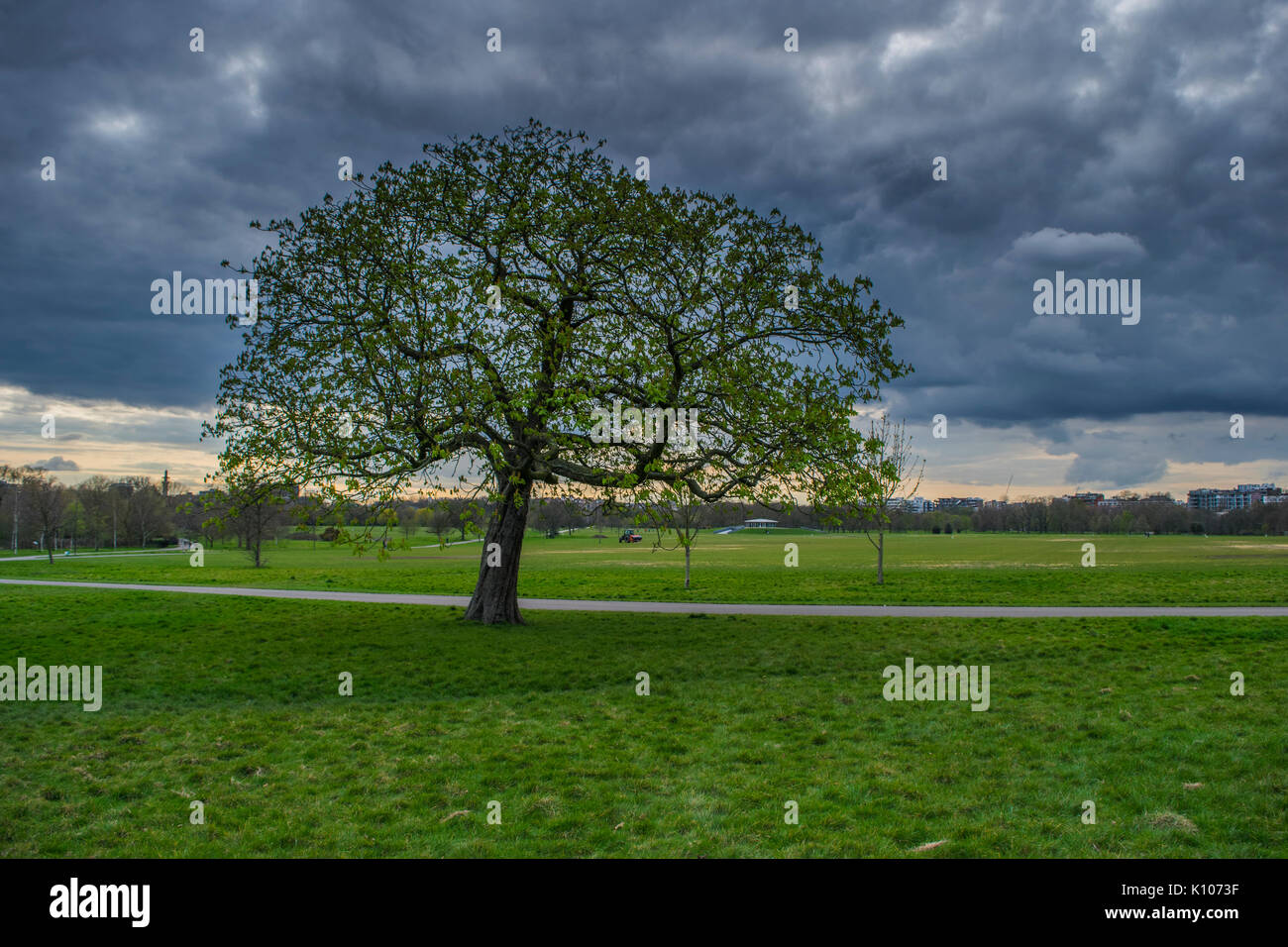 Hyde park beautiful spring hi-res stock photography and images - Alamy