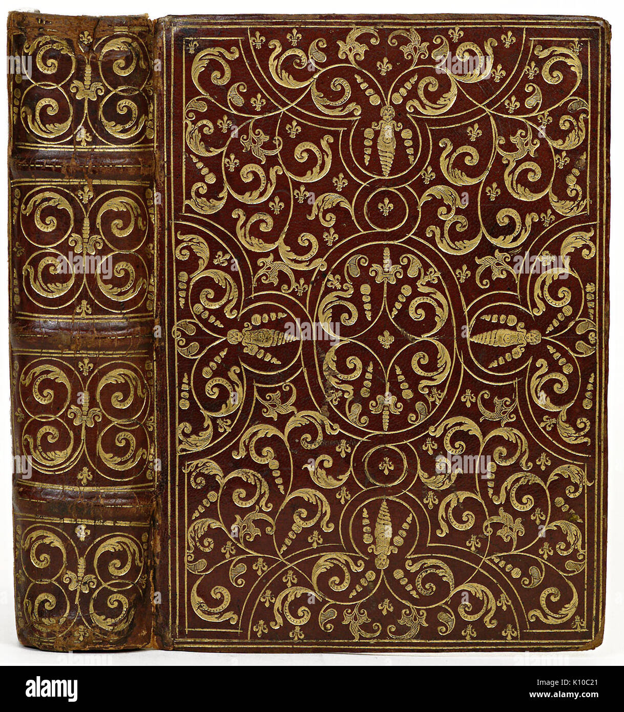 Bruinkarmijn hi-res stock photography and images - Alamy