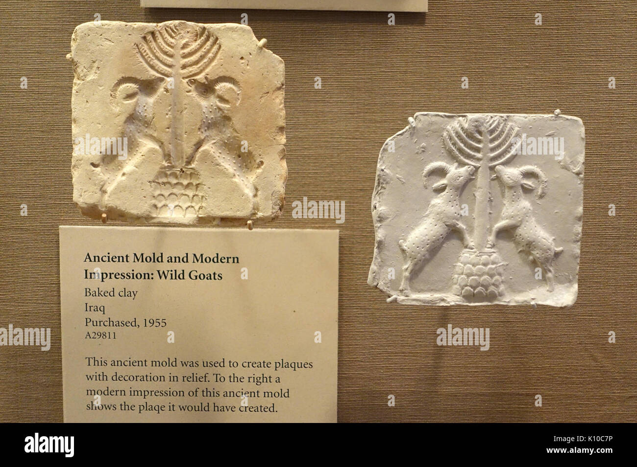 Ancient mold of wild goats with modern impression, Iraq, baked clay ...