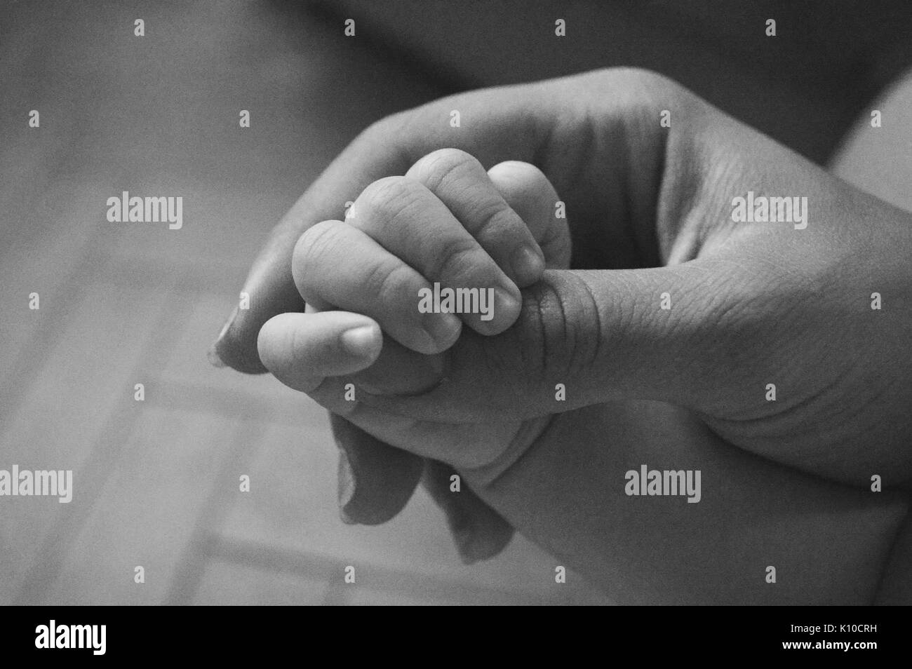 Grasping line drawing hi-res stock photography and images - Alamy