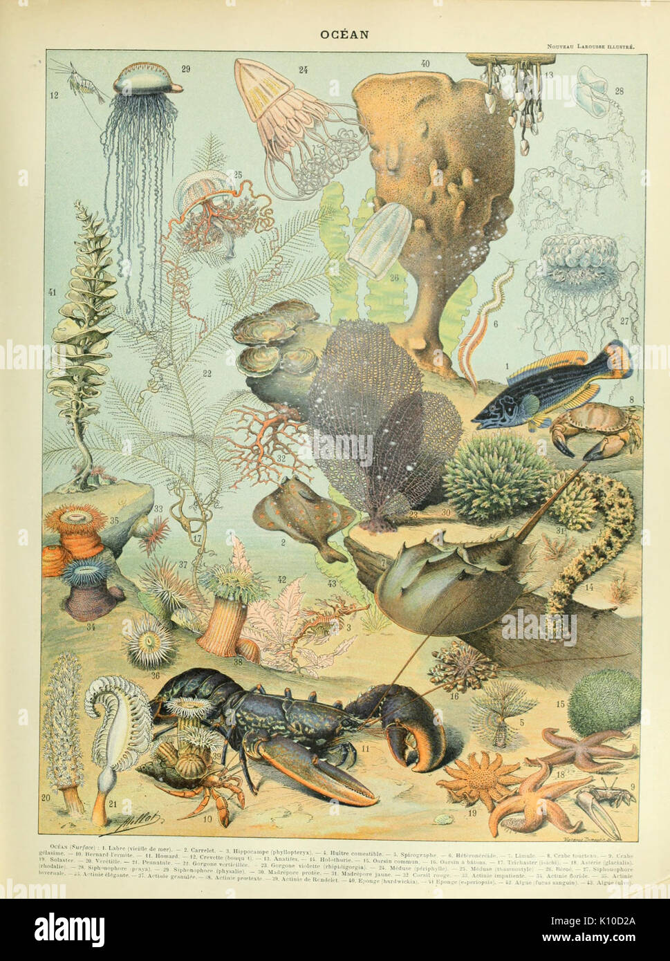 Adolphe millot hi-res stock photography and images - Alamy