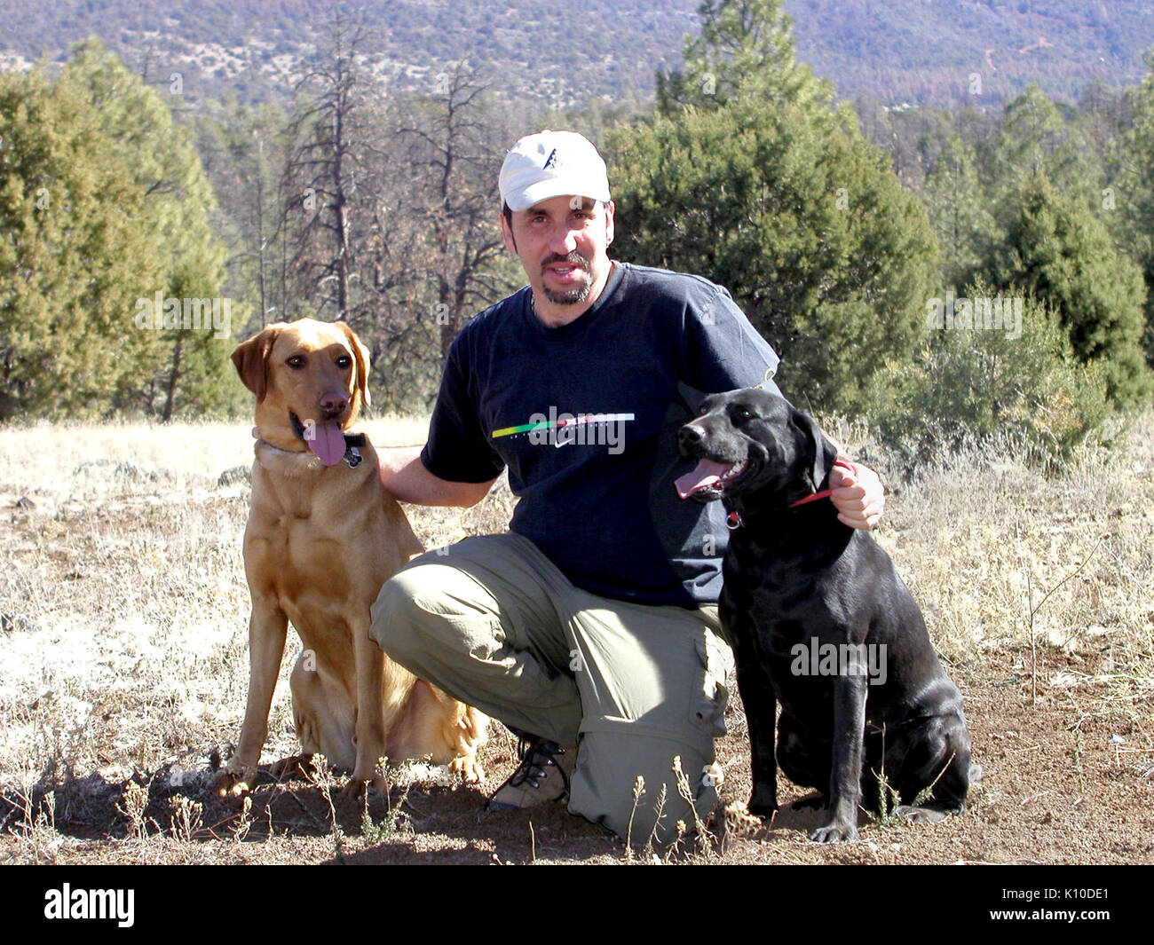 Dogs interactions hi-res stock photography and images - Alamy