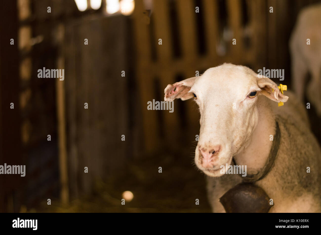 Agricultural feast hi-res stock photography and images - Alamy