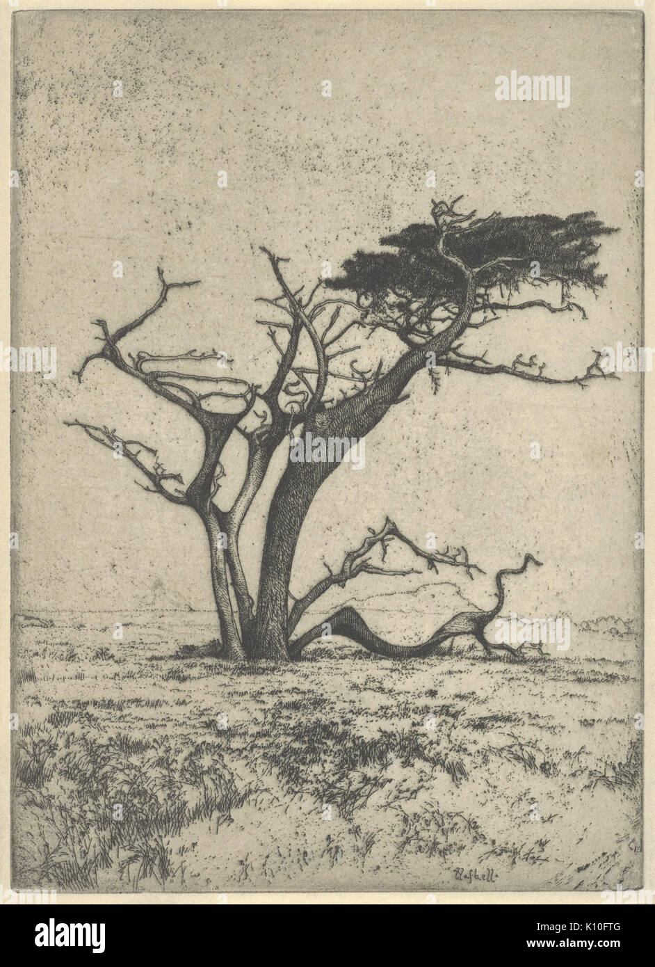 Map of antlers hi-res stock photography and images - Alamy