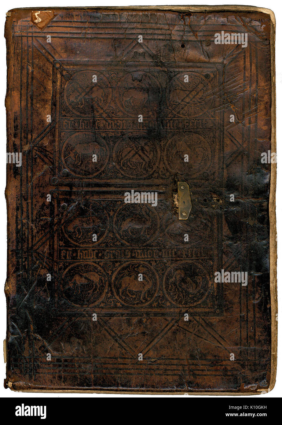 Band van donker siena kalfsleer KONB12 73H24 Stock Photo - Alamy