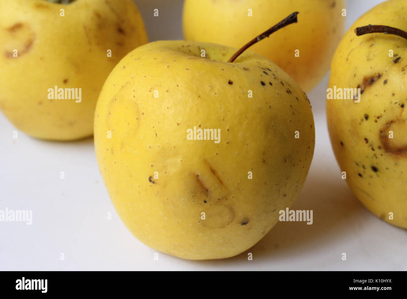 Chlorotic High Resolution Stock Photography and Images - Alamy