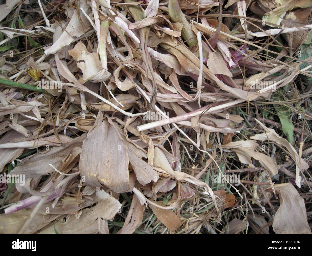 End to a way of life hi-res stock photography and images - Alamy